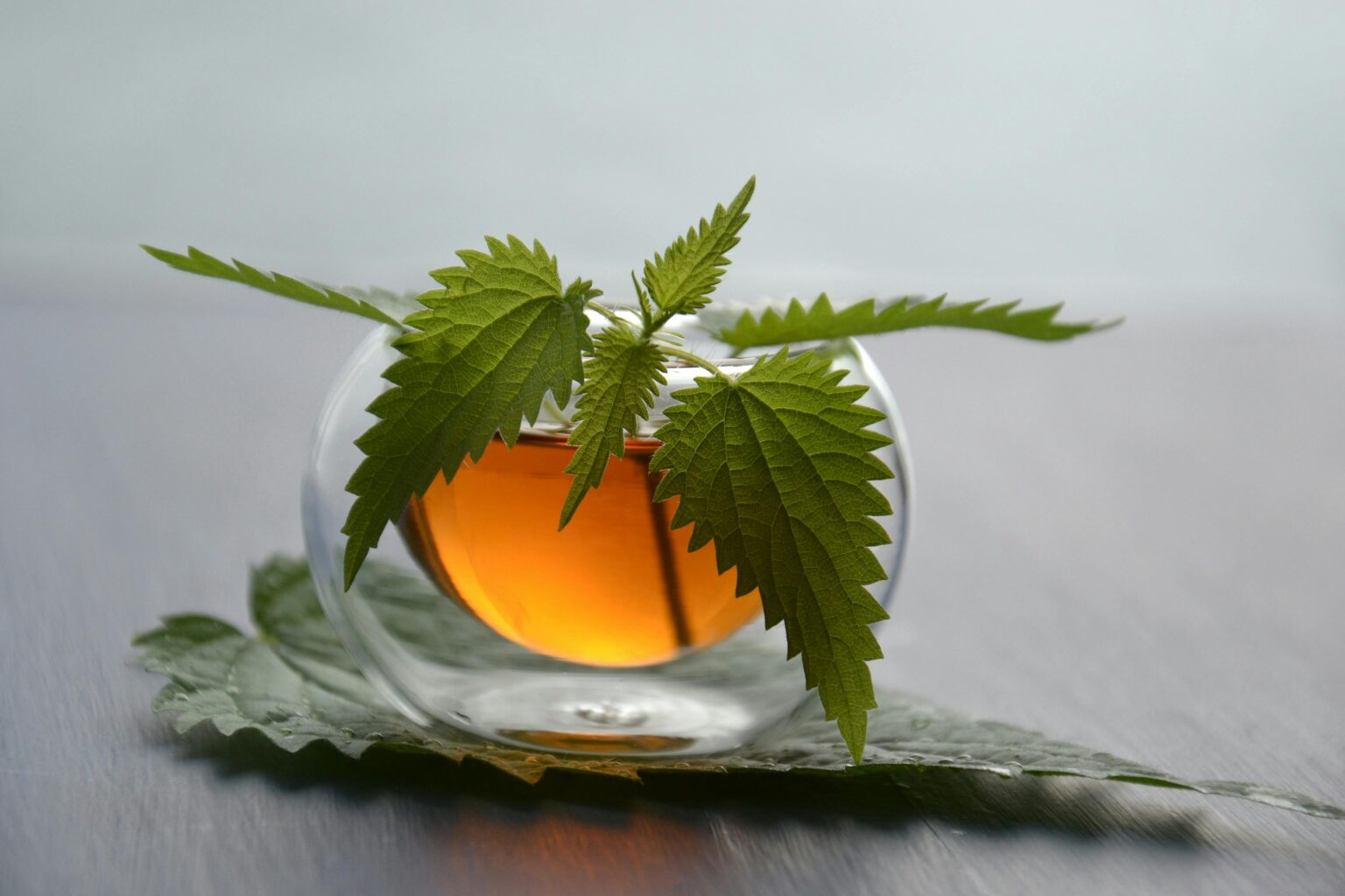 Nettle Tea Benefits: 10 Powerful Reasons to Drink Daily